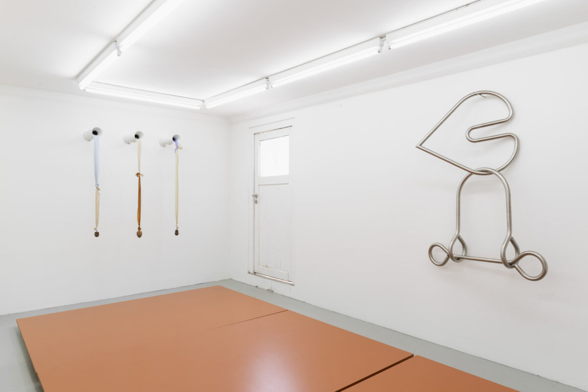 The Gina Show at SALTS – Art Viewer