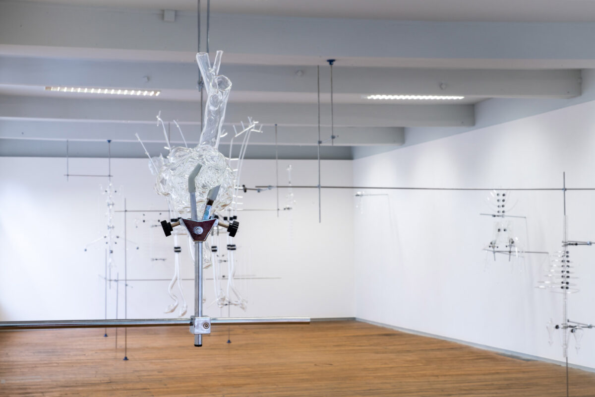 Yan Tomaszewski at Centre d’Art Contemporain / Passages – Art Viewer