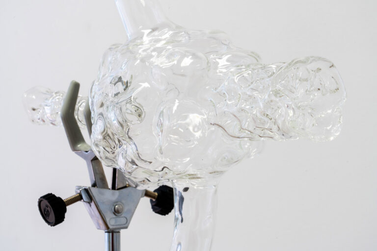 Yan Tomaszewski At Centre Dart Contemporain Passages Art Viewer