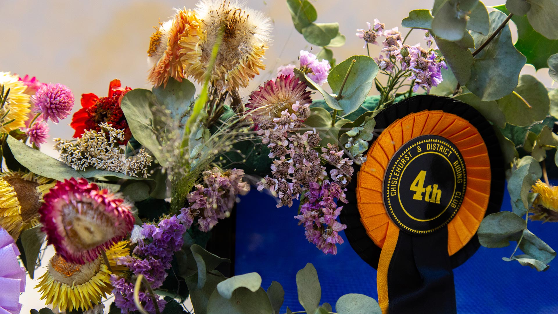 Ella Fleck at Forth – Art Viewer