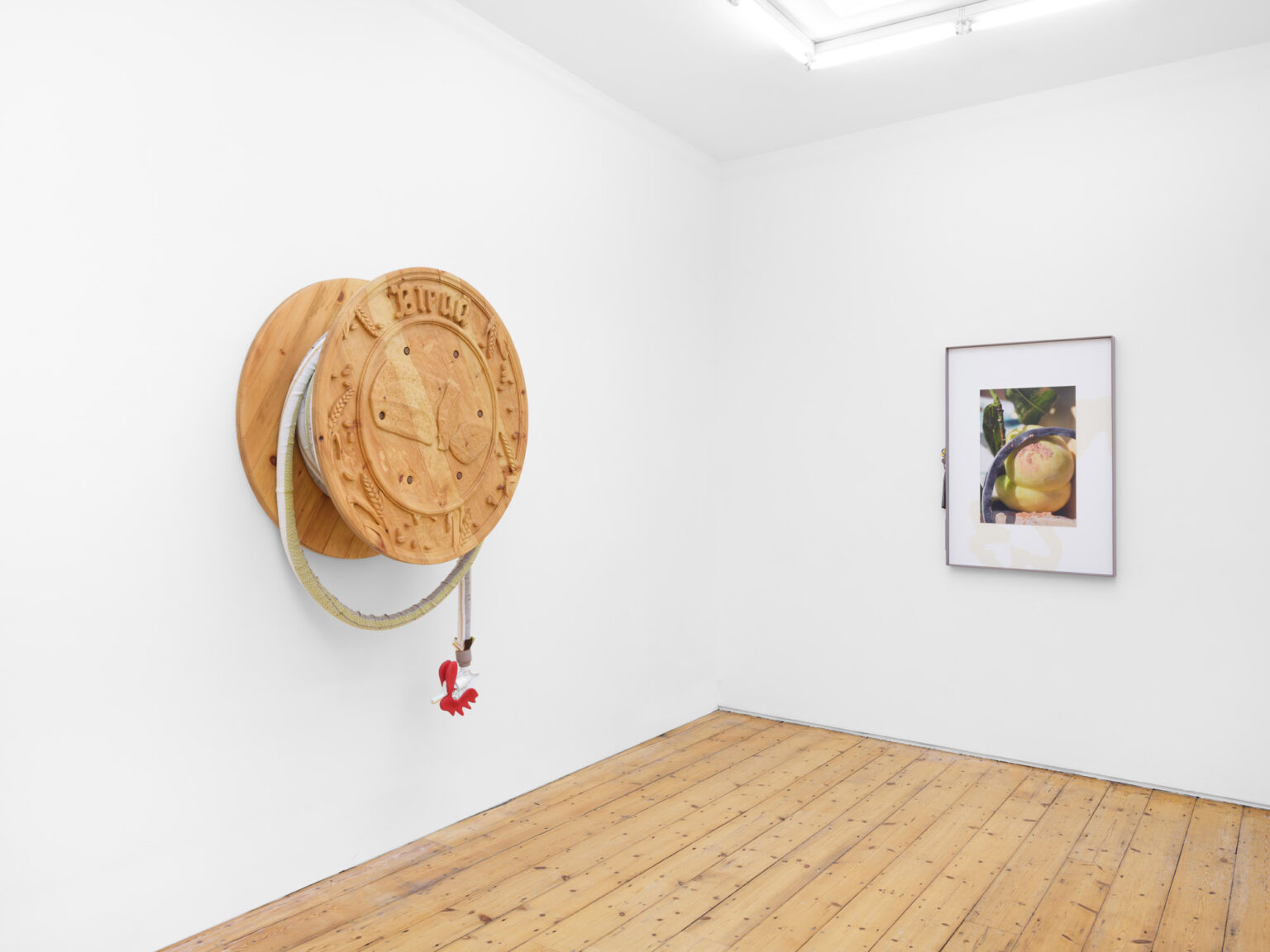 Magali Reus at The Approach – Art Viewer