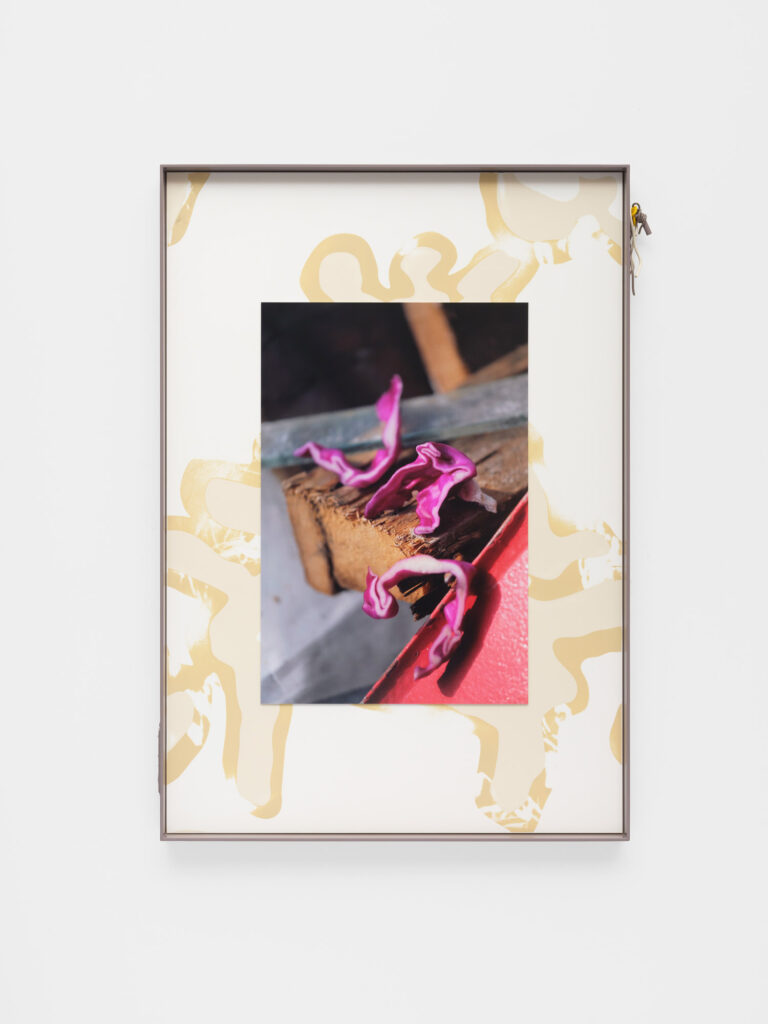 Magali Reus at The Approach – Art Viewer