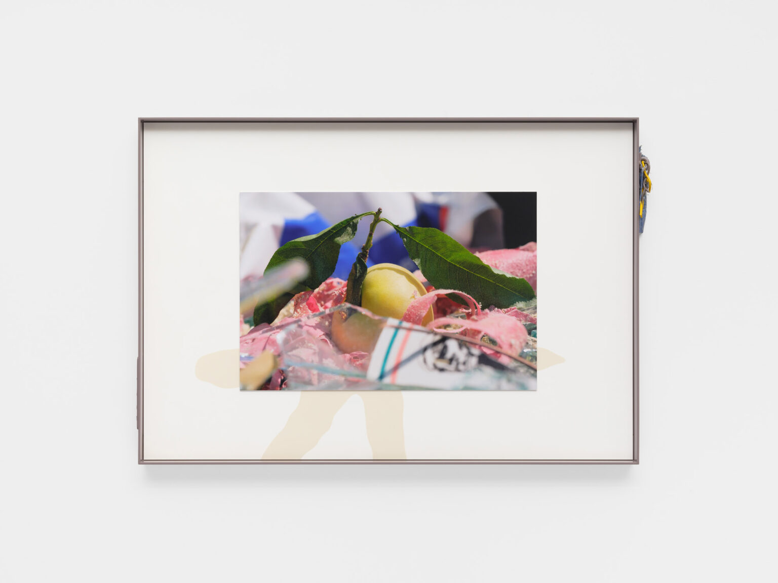 Magali Reus at The Approach – Art Viewer