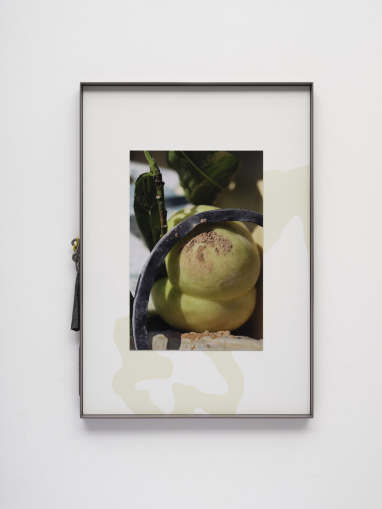 Magali Reus at The Approach – Art Viewer