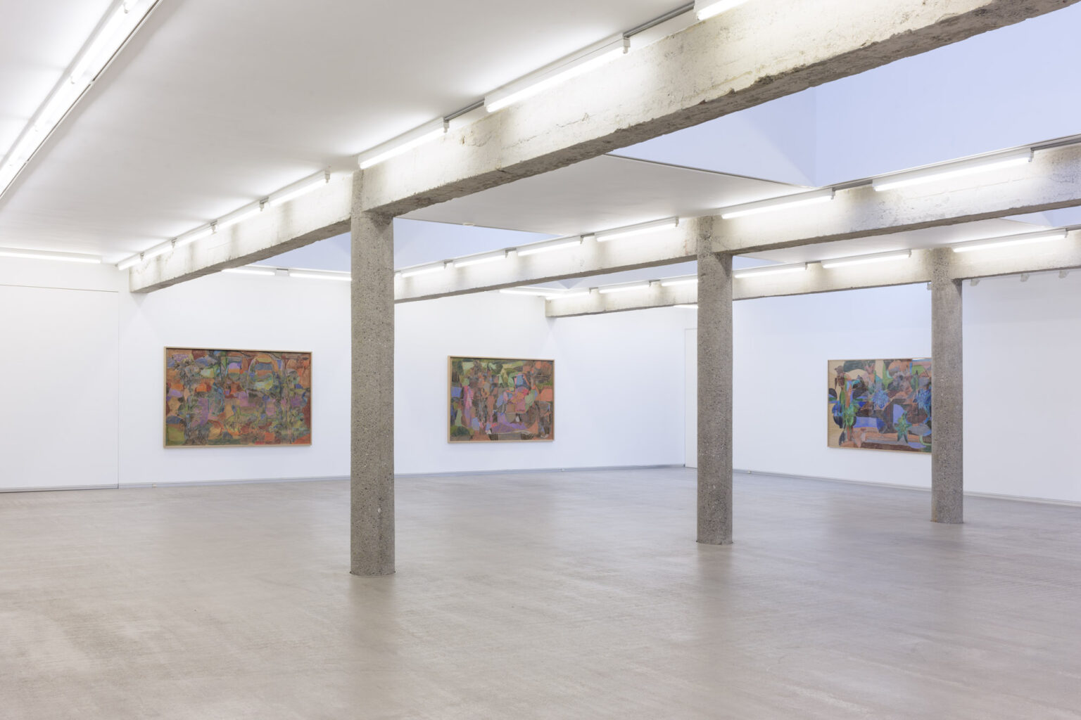 Rafael Ruiz Balerdi at CarrerasMugica – Art Viewer