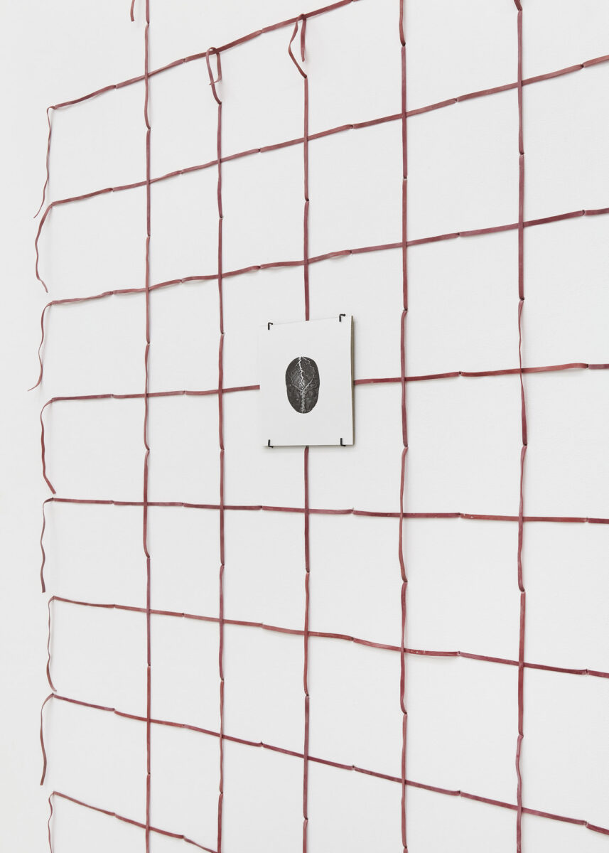 Tom Hardwick-Allan at South Parade – Art Viewer