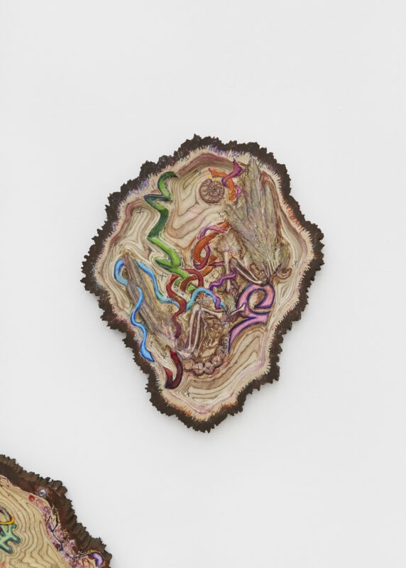 Tom Hardwick-Allan at South Parade – Art Viewer