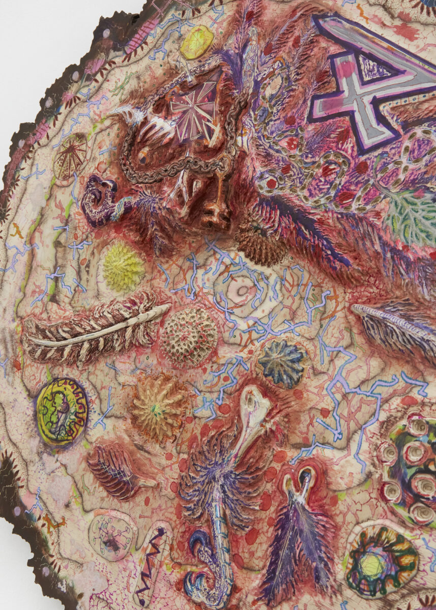 Tom Hardwick-Allan at South Parade – Art Viewer