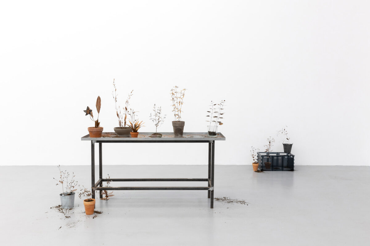Cassandra Complex at basis – Art Viewer