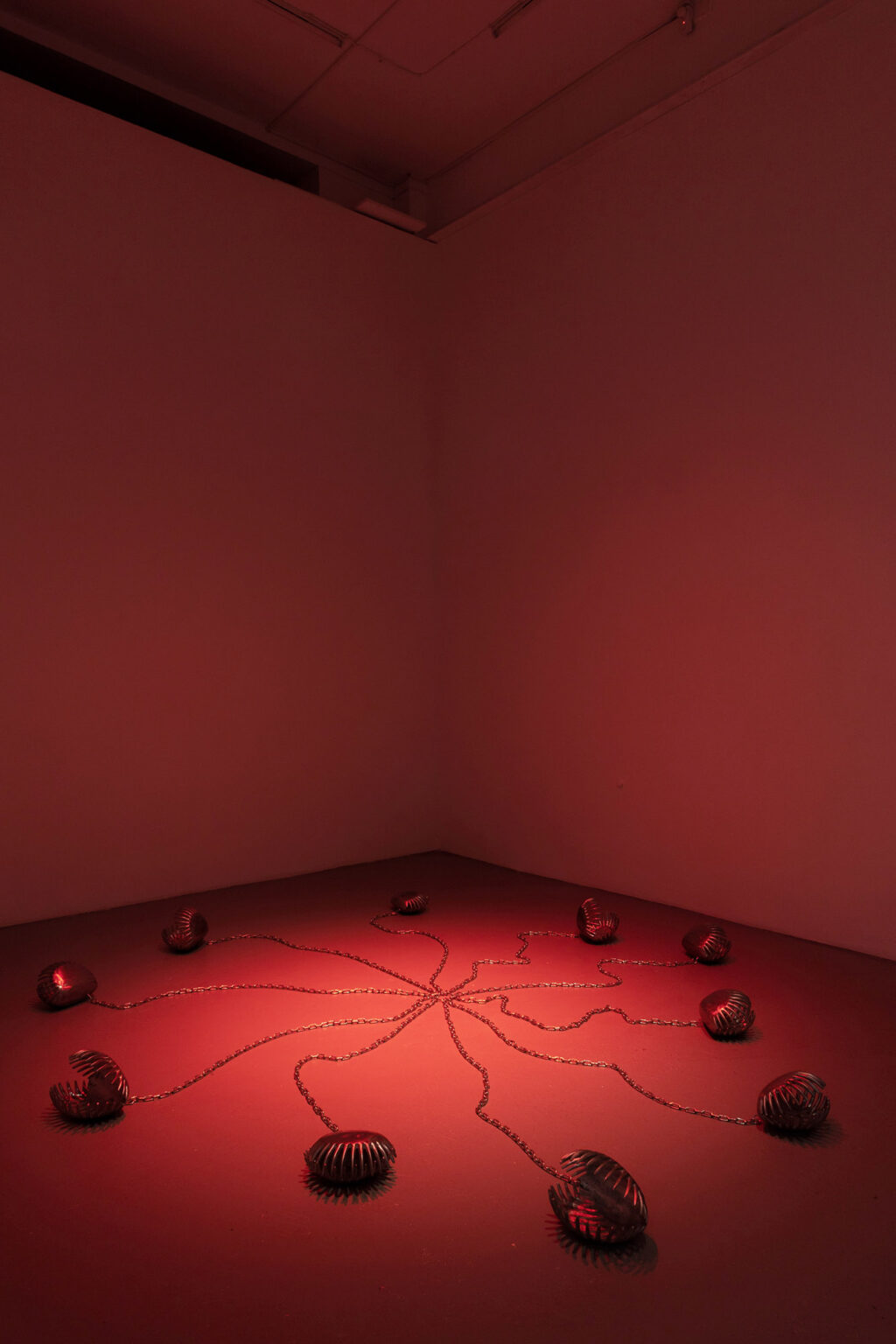 Cassandra Complex at basis – Art Viewer