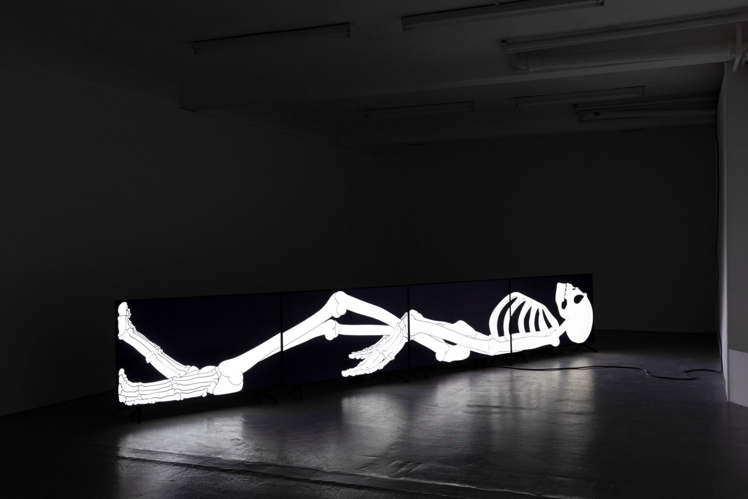 Cassandra Complex at basis – Art Viewer