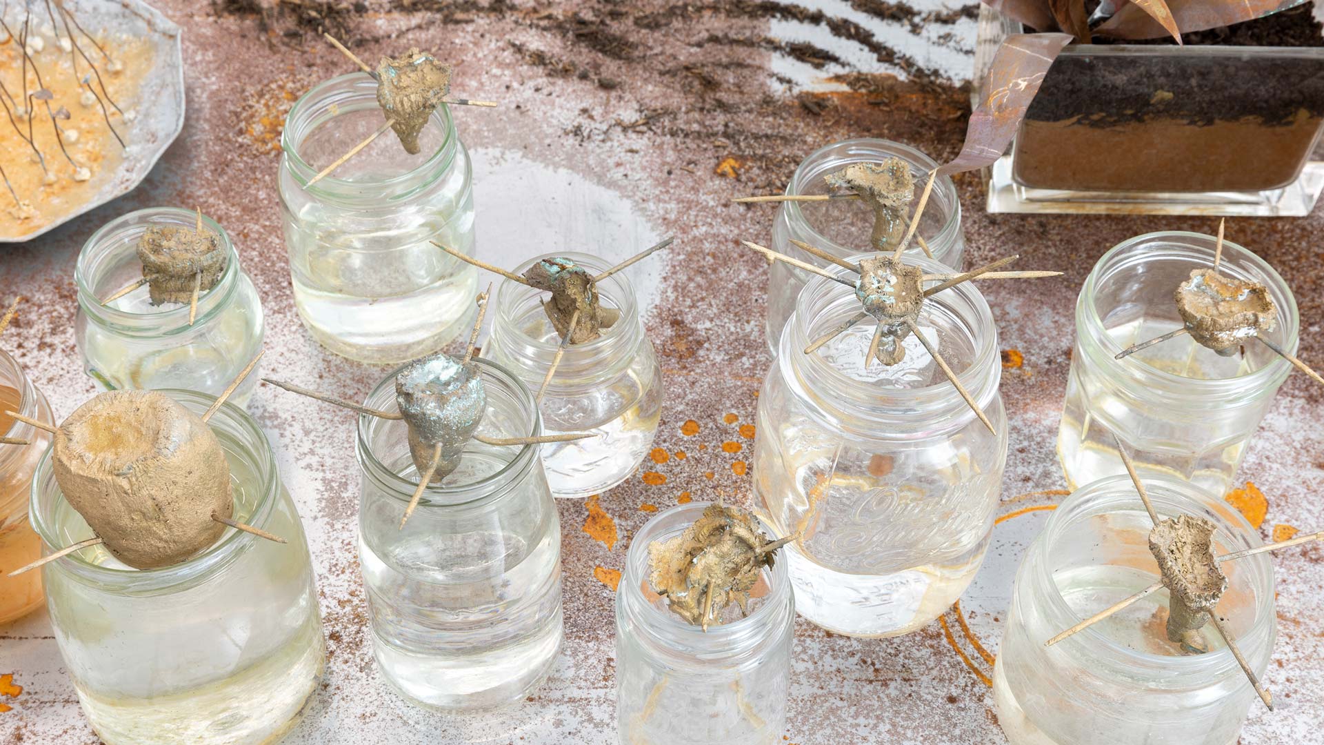 Cassandra Complex at basis – Art Viewer