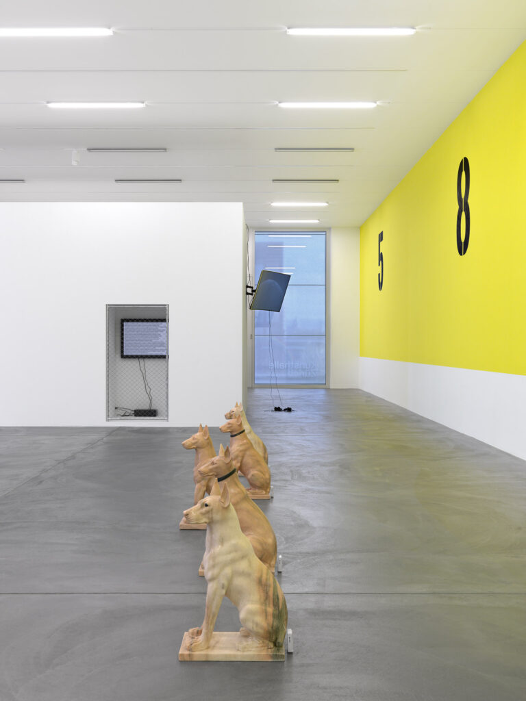 Julia Scher at Kunsthalle Zürich – Art Viewer