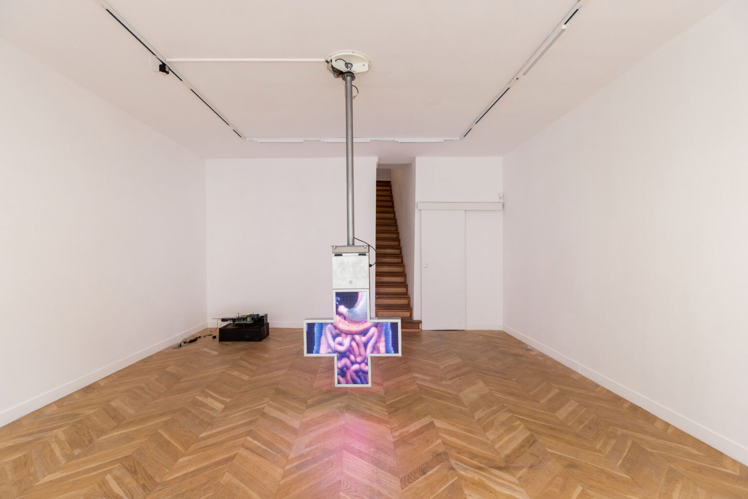 Mathis Altmann at Fitzpatrick Gallery – Art Viewer