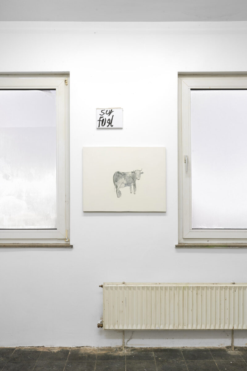 TIERE at Catherine Zeta – Art Viewer