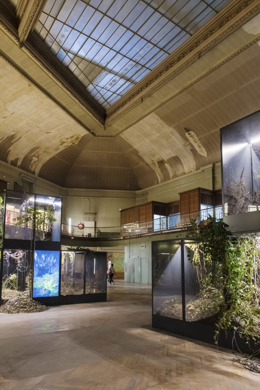 16th Lyon Biennale: manifesto of fragility at Guimet Museum – Art Viewer