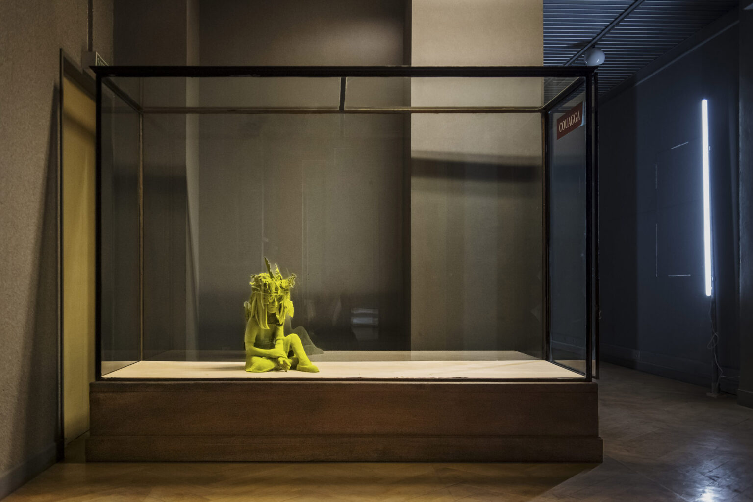 16th Lyon Biennale: manifesto of fragility at Guimet Museum – Art Viewer