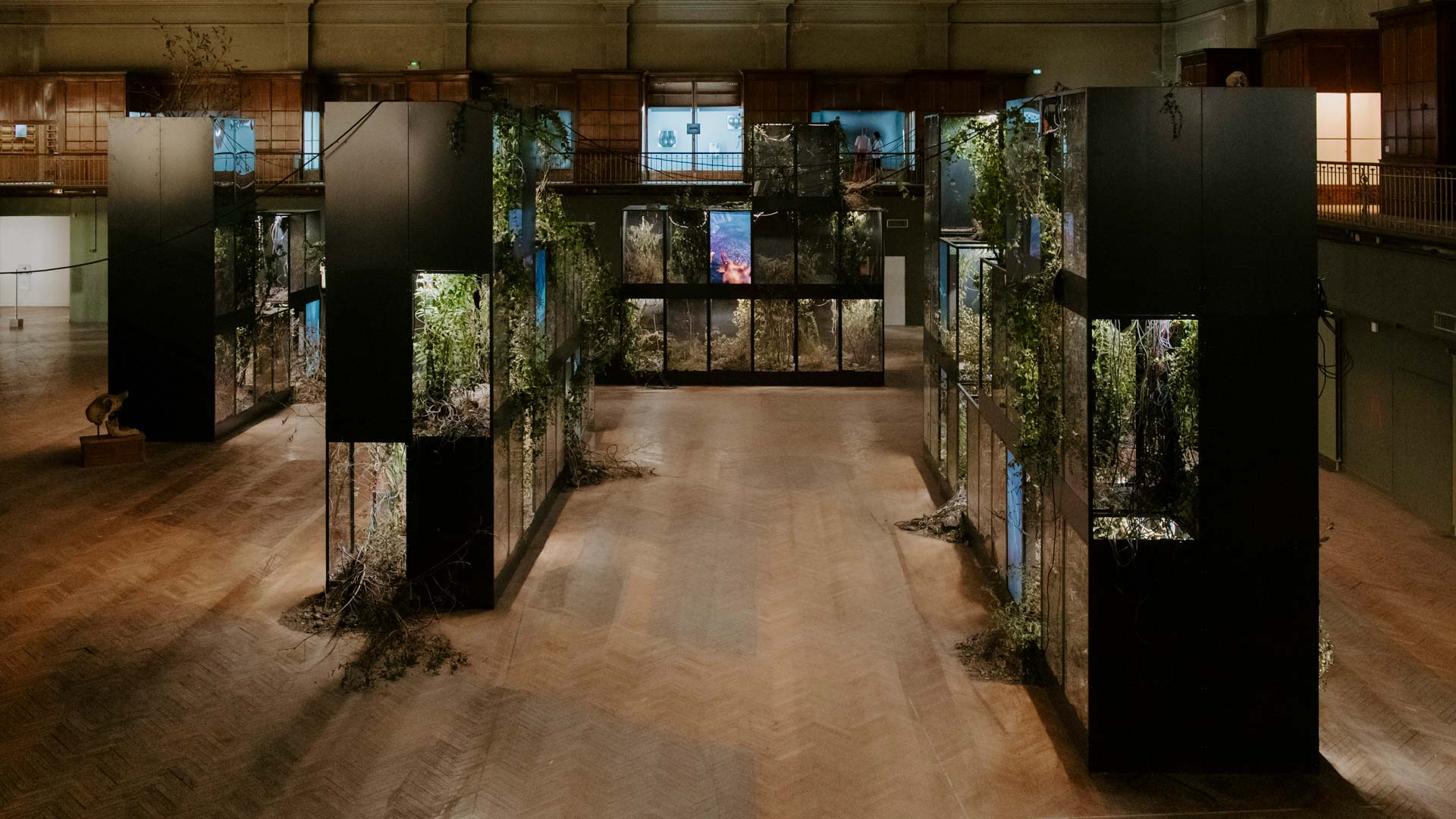 16th Lyon Biennale: manifesto of fragility at Guimet Museum – Art Viewer