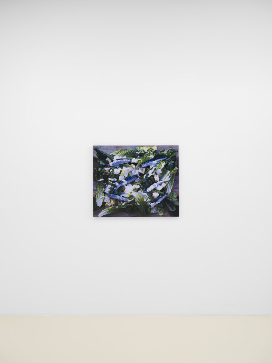 Adam Higgins at Chris Sharp Gallery – Art Viewer