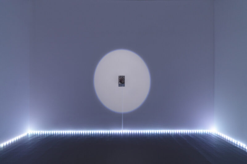 Anoushé Shojae-Chaghorvand at Prairie – Art Viewer