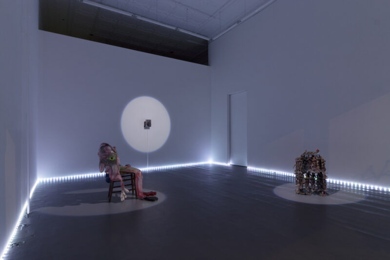 Anoushé Shojae-Chaghorvand at Prairie – Art Viewer