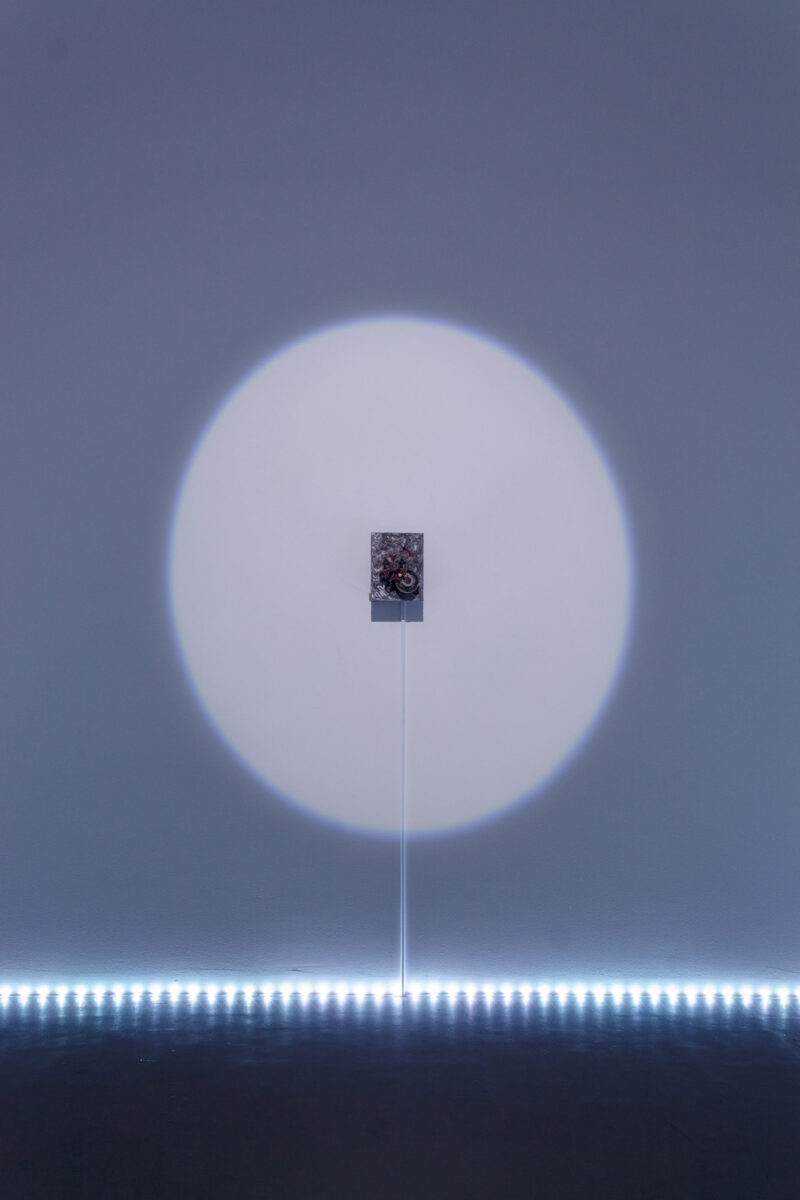 Anoushé Shojae-Chaghorvand at Prairie – Art Viewer