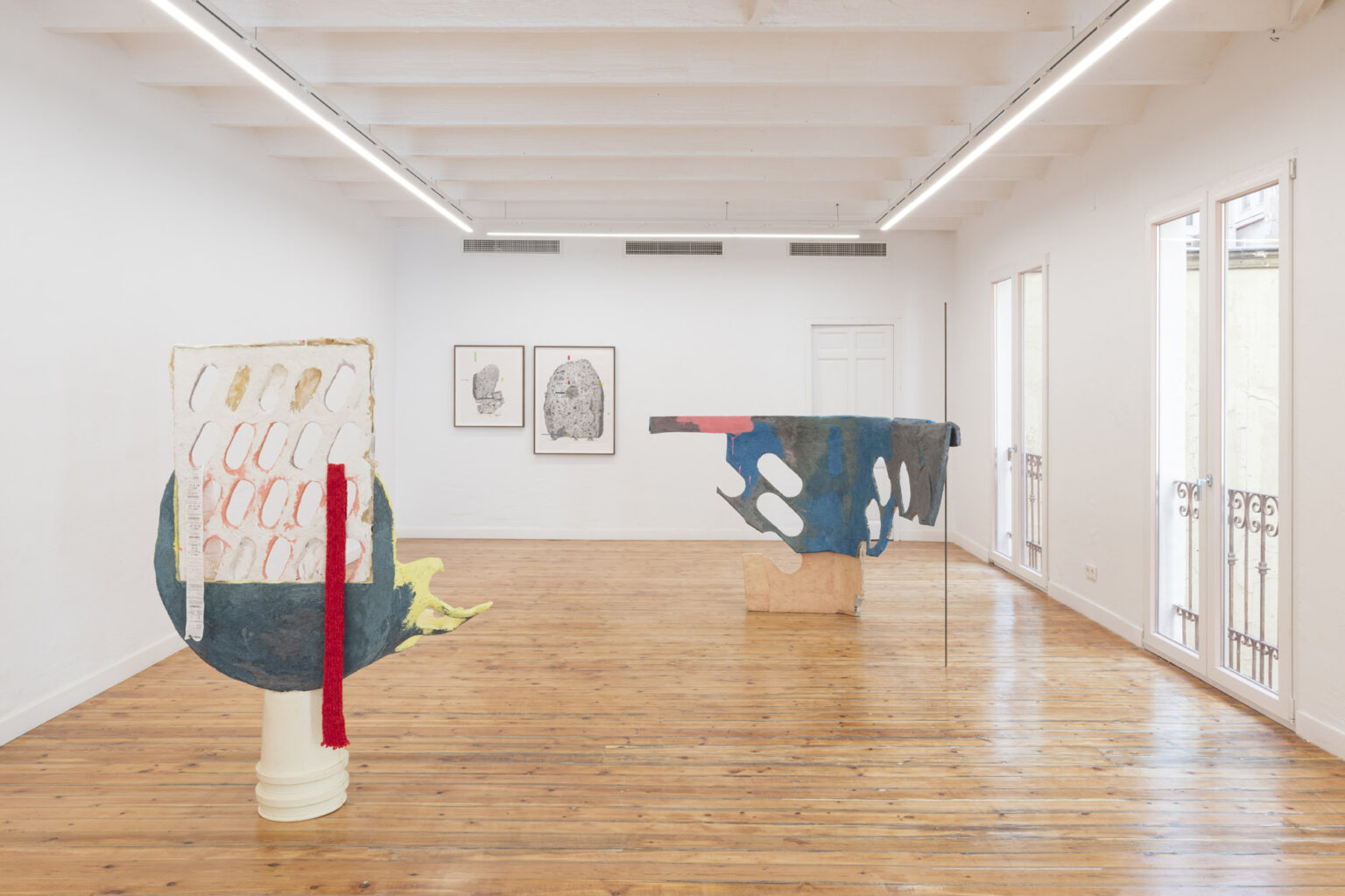 Ester Partegàs at NoguerasBlanchard – Art Viewer