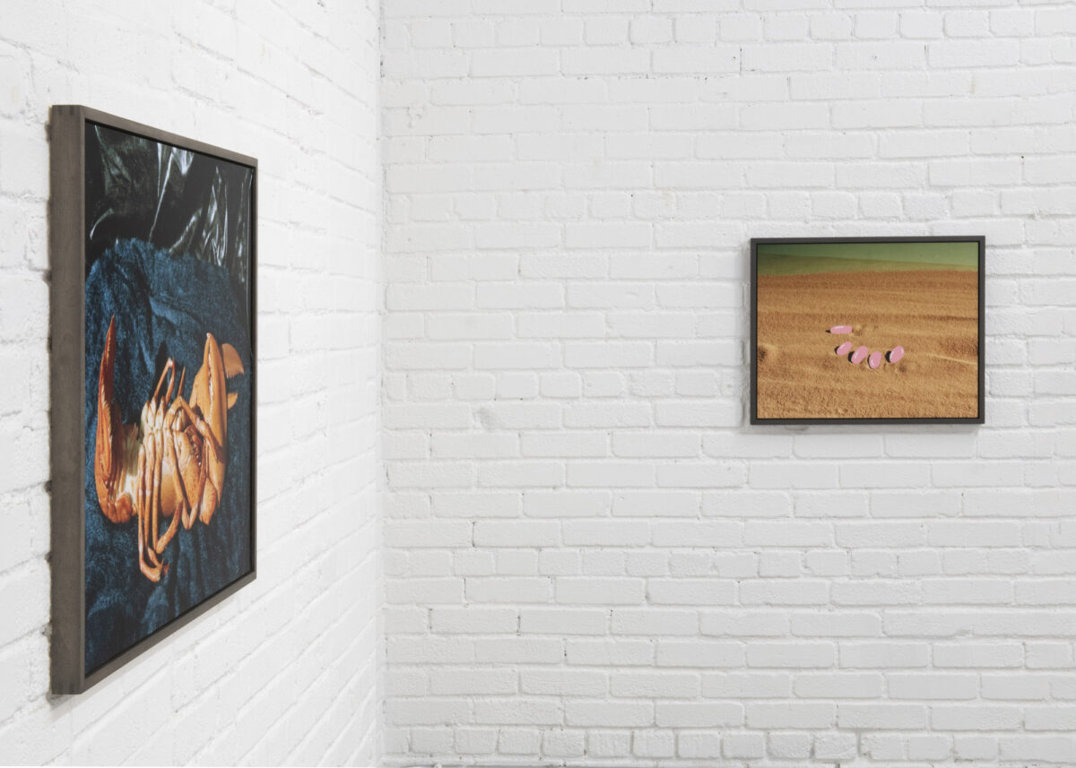 Lucas Blalock at Bradley Ertaskiran – Art Viewer