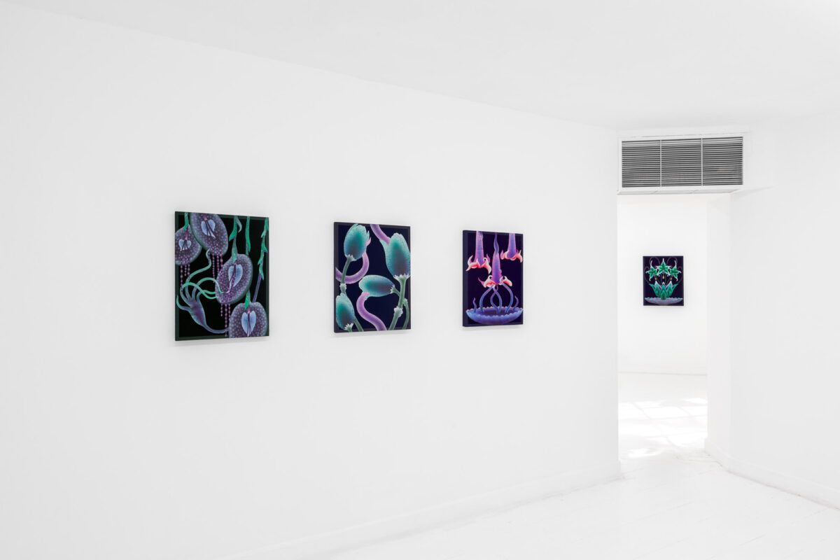 Mevlana Lipp at Capsule Shanghai – Art Viewer