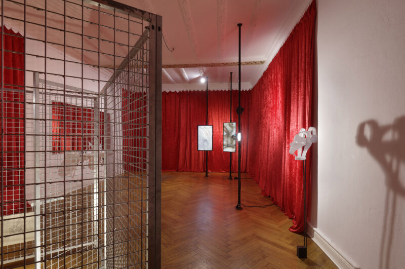 Rebekka Benzenberg at Galerie Anton Janizewski – Art Viewer