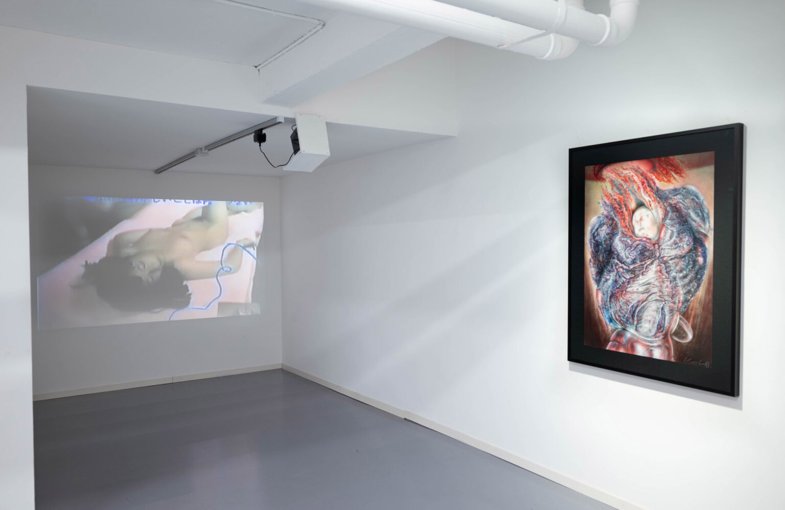 Sibylle Ruppert at Blue Velvet Projects – Art Viewer