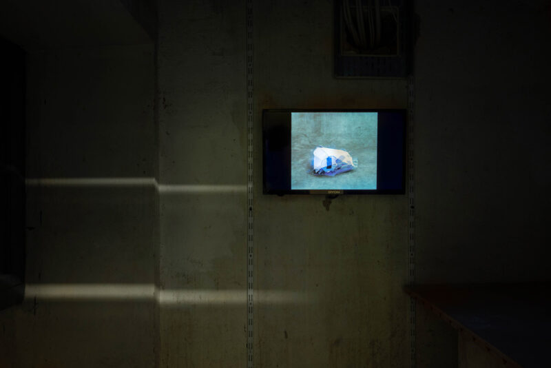 Sibylle Ruppert at Blue Velvet Projects – Art Viewer