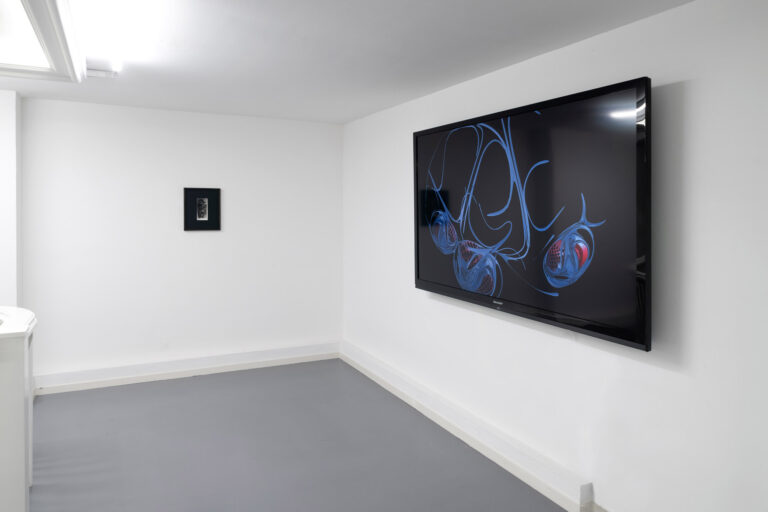 Sibylle Ruppert at Blue Velvet Projects – Art Viewer