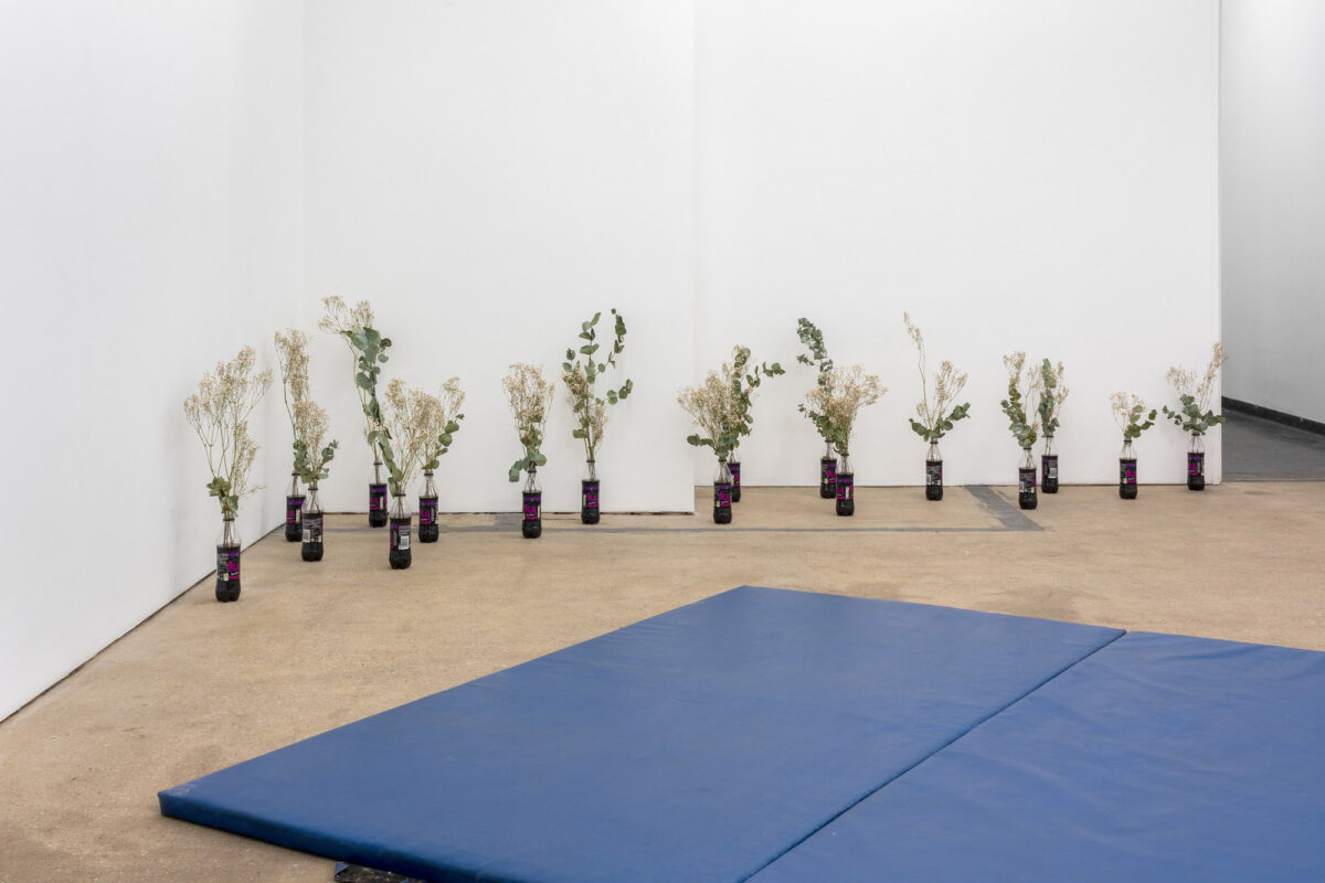 Adam Farah-Saad at Public Gallery – Art Viewer