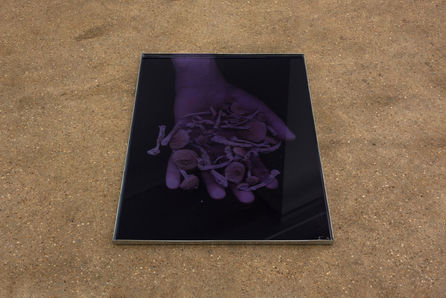 Adam Farah-Saad at Public Gallery – Art Viewer