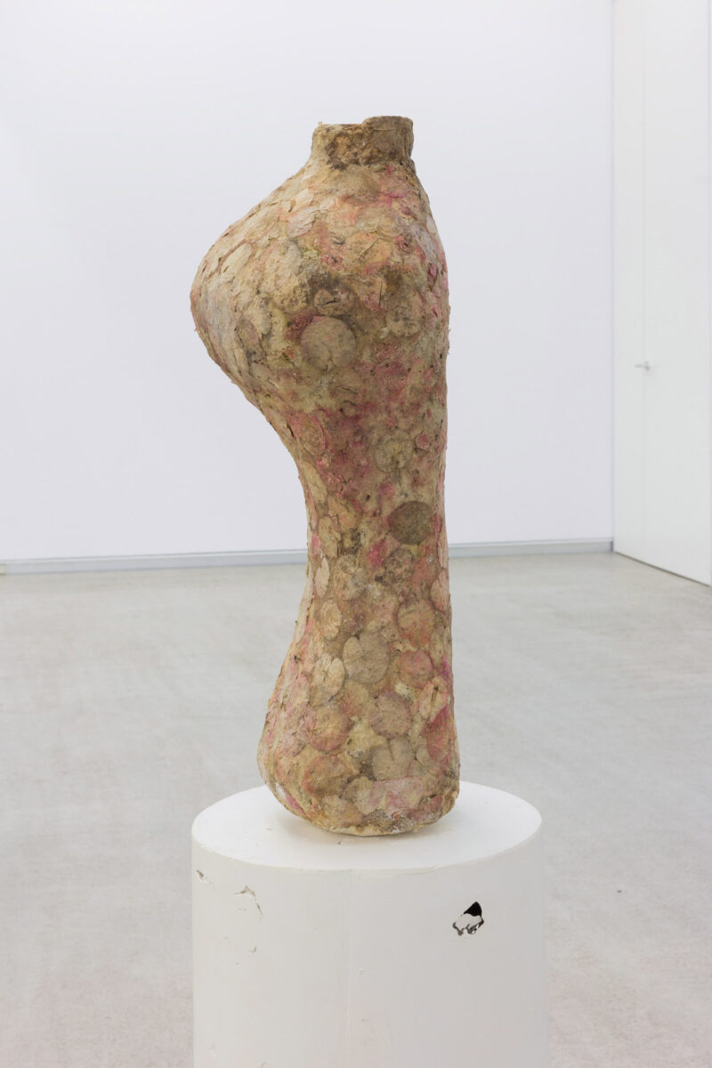 David Bestué, Susana Solano and Julia Spínola at CarrerasMugica – Art ...