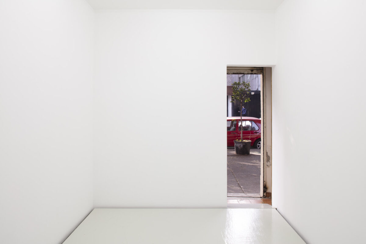 Evian Wenyi Zhang at Lulu – Art Viewer