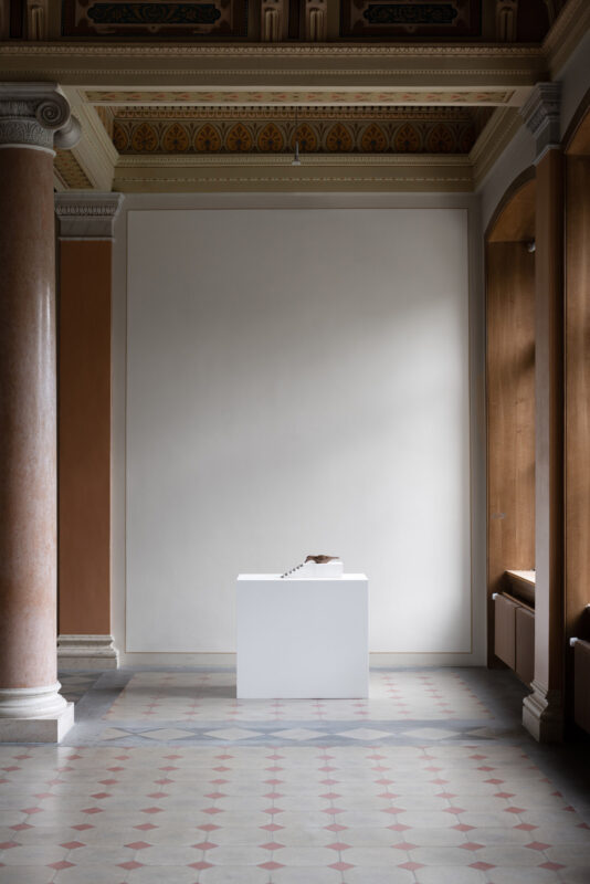 Grace Schwindt at Kunstmuseum St. Gallen – Art Viewer