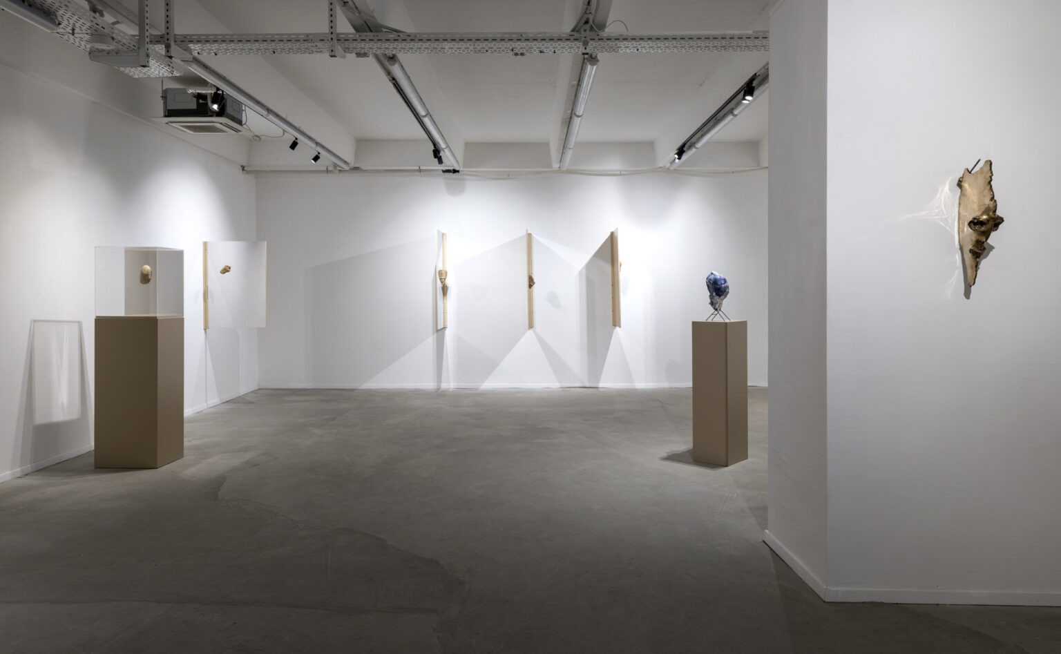 Netally Schlosser at Dvir Gallery – Art Viewer