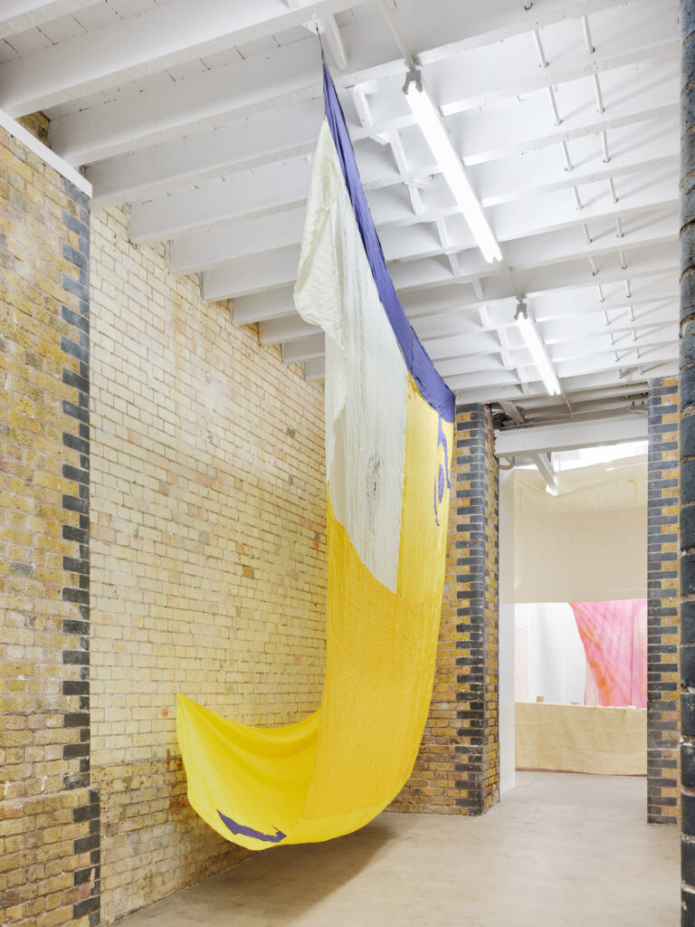 Reto Pulfer at Hollybush Gardens – Art Viewer