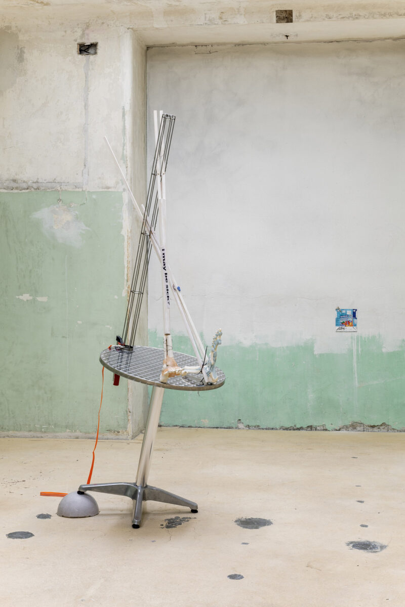 Zoë Field at City Galerie Wien – Art Viewer