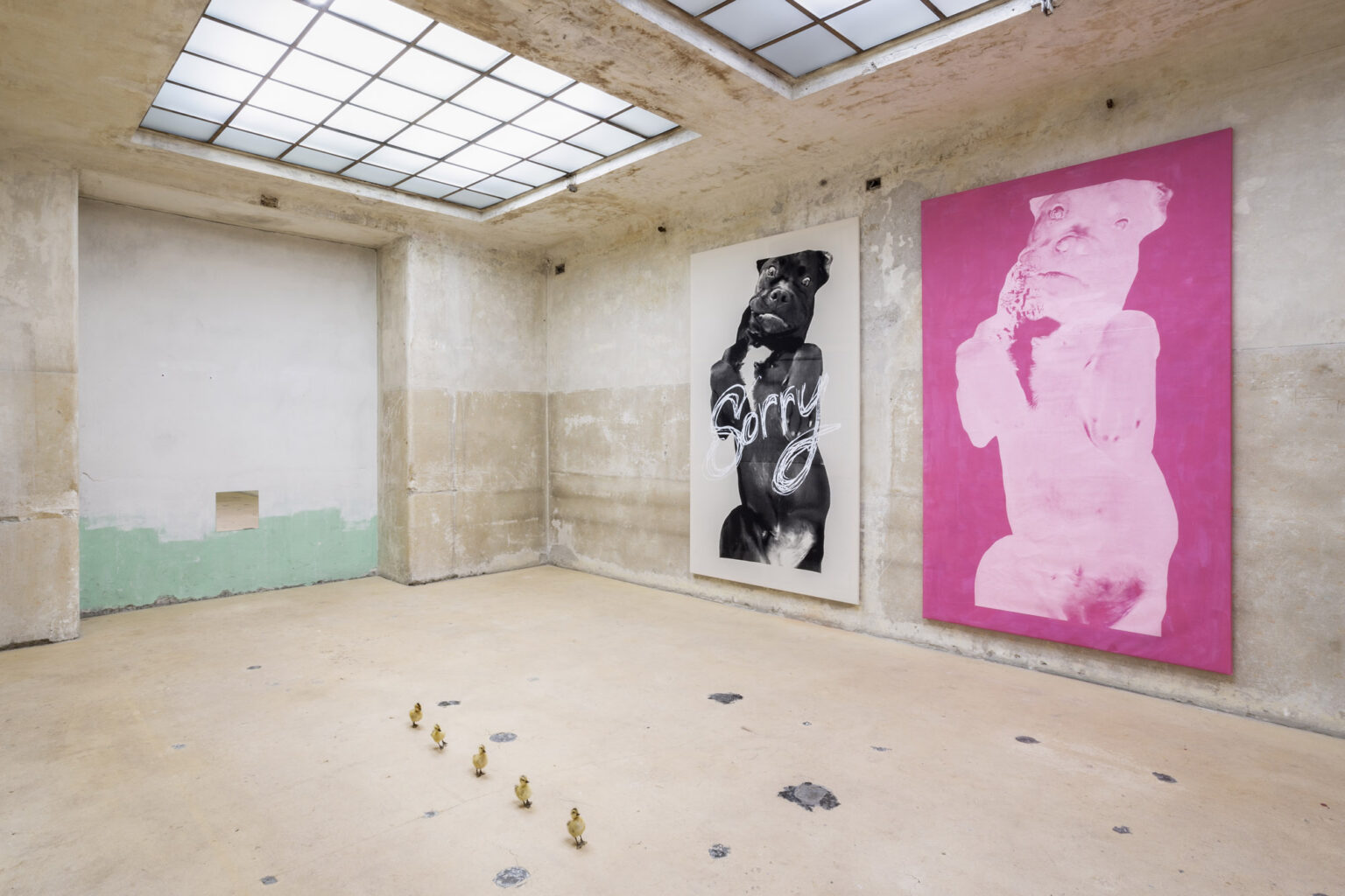 Zoë Field at City Galerie Wien – Art Viewer