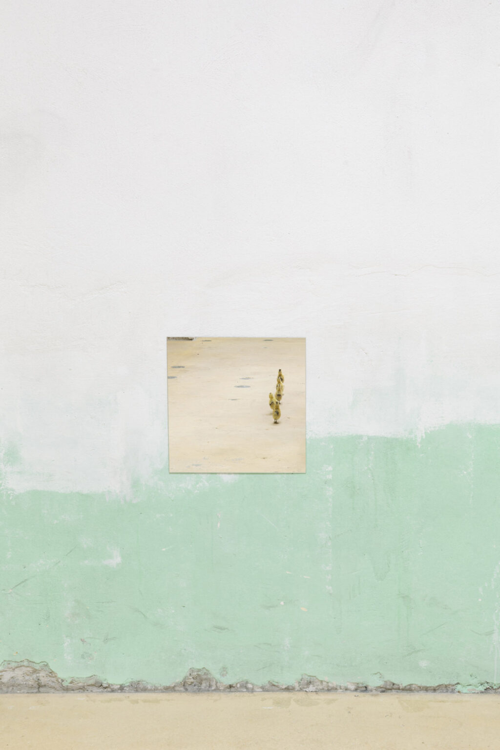 Zoë Field at City Galerie Wien – Art Viewer