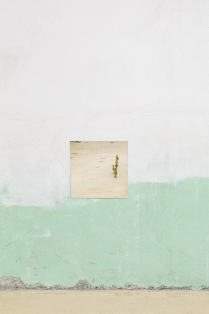 Zoë Field at City Galerie Wien – Art Viewer