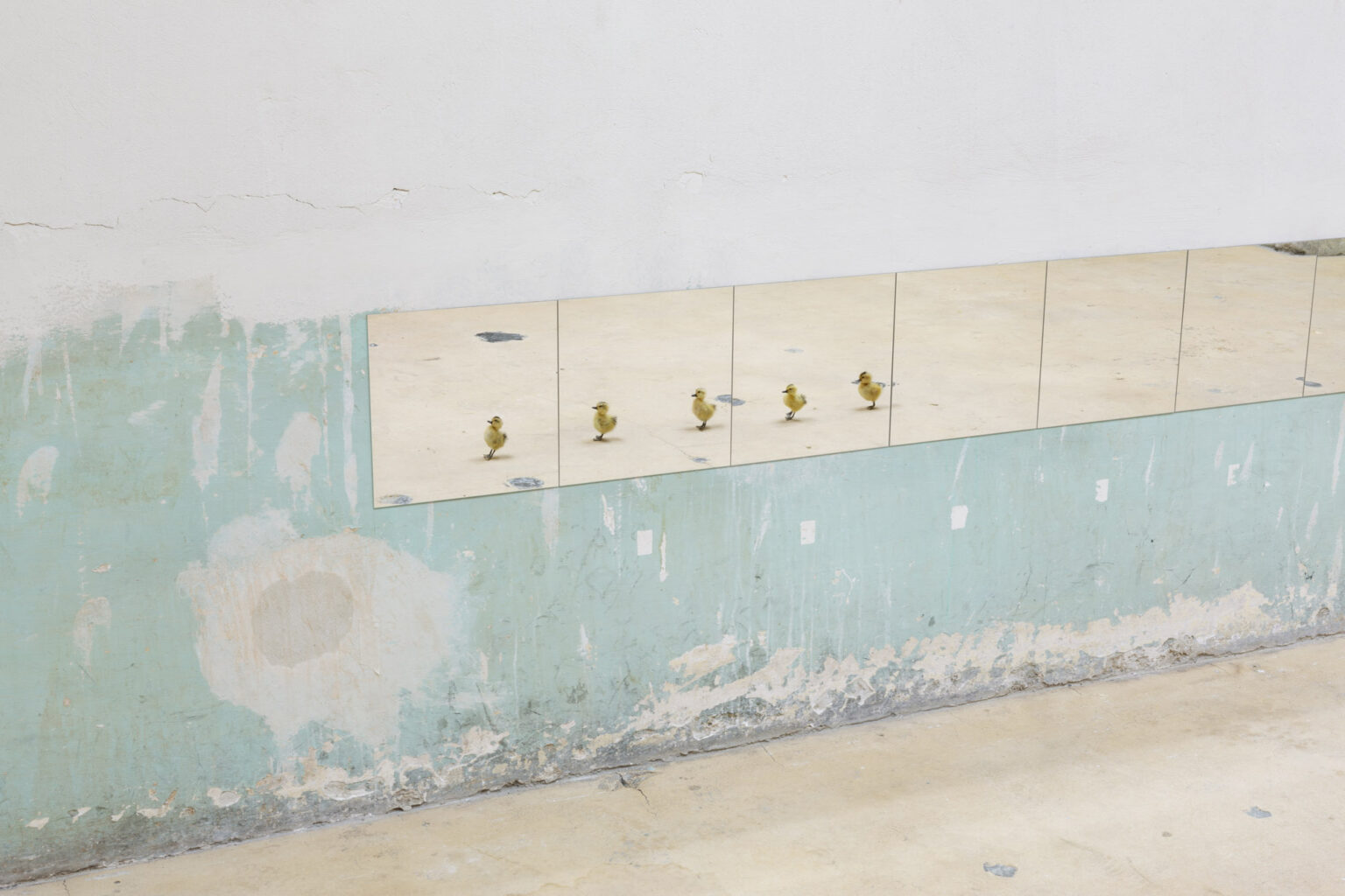 Zoë Field at City Galerie Wien – Art Viewer