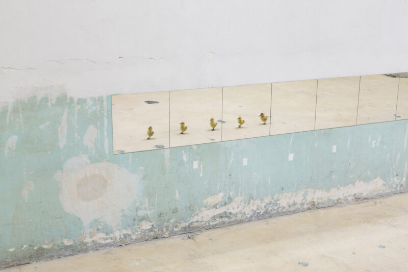 Zoë Field at City Galerie Wien – Art Viewer