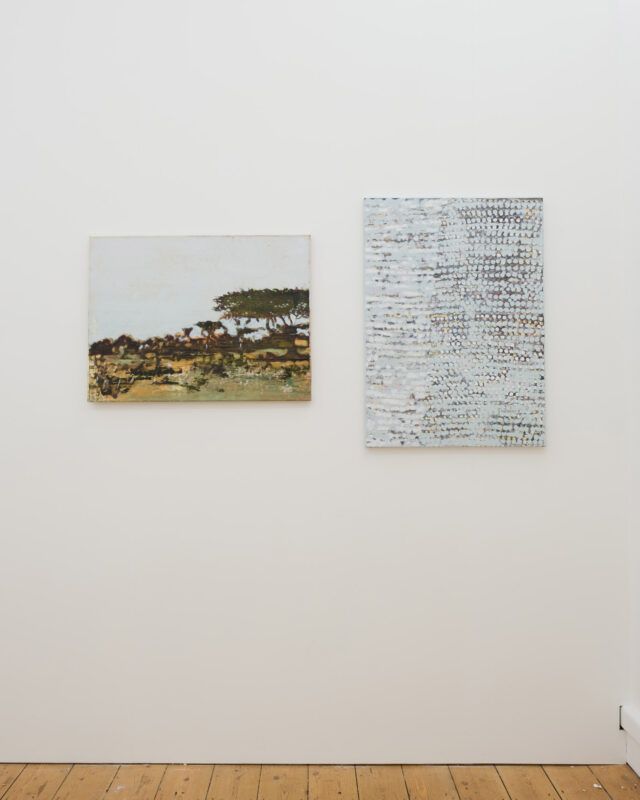 Anne Van Boxelaere at Fred & Ferry – Art Viewer