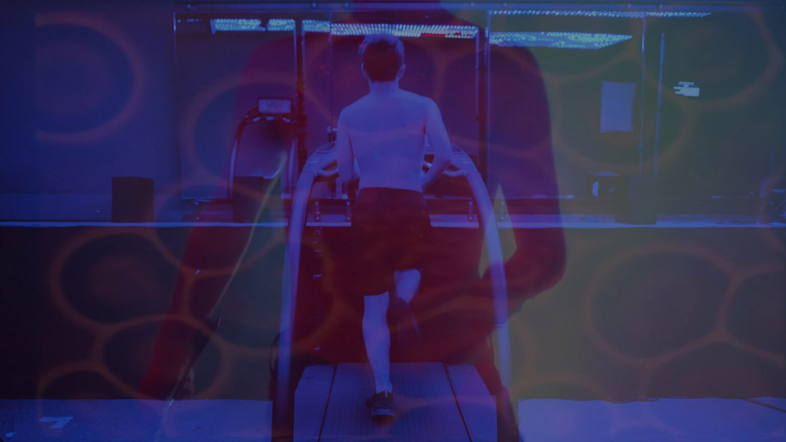 Daniel Moldoveanu at SABOT – Art Viewer