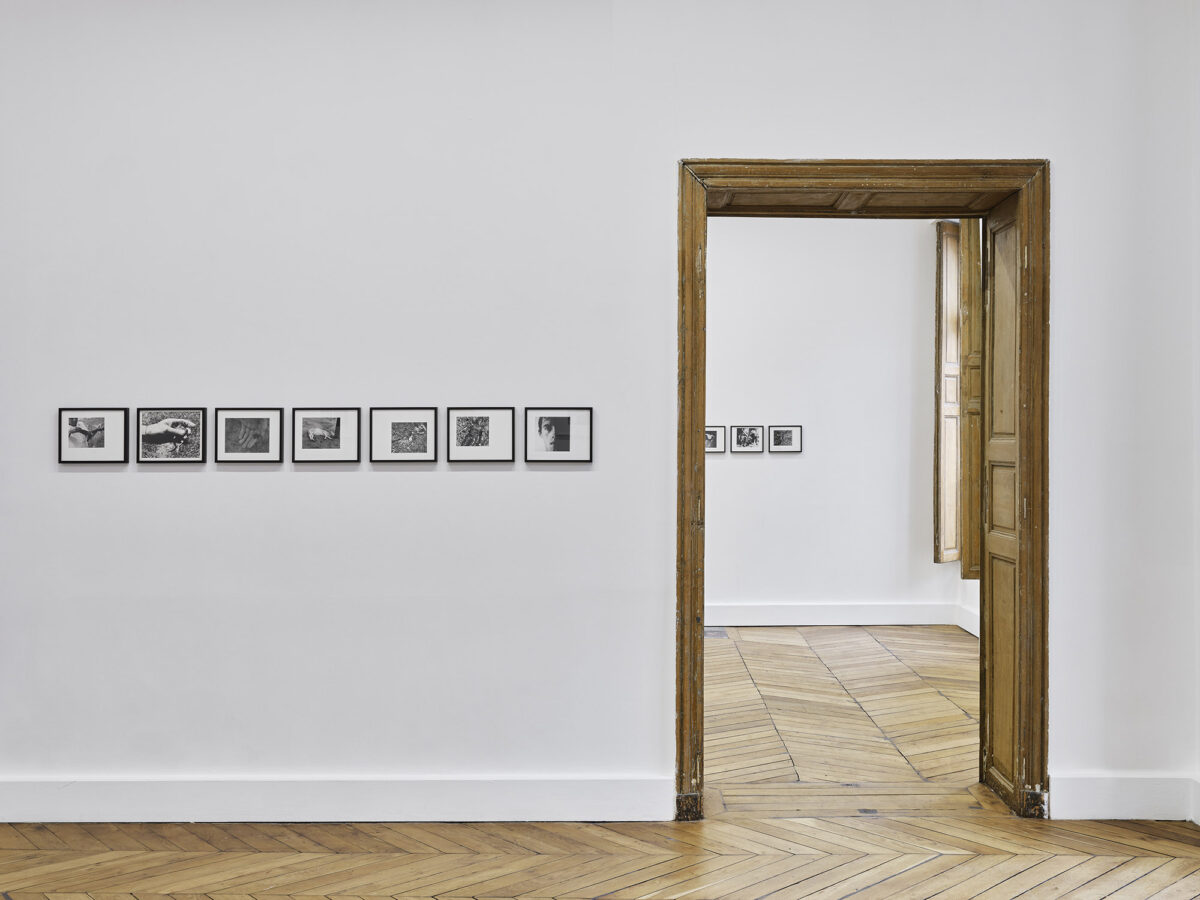 Hervé Guibert and David Wojnarowicz at Fitzpatrick Gallery – Art Viewer
