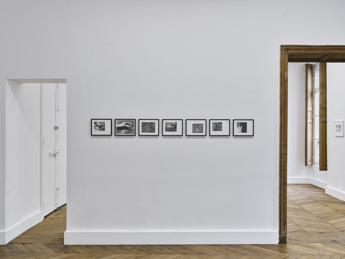 Hervé Guibert and David Wojnarowicz at Fitzpatrick Gallery – Art Viewer